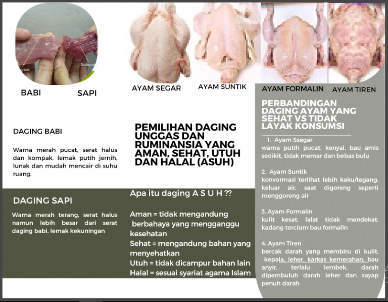 Mahasiswa KKN Undip Lakukan Edukasi Pemilihan Daging Unggas dan ...