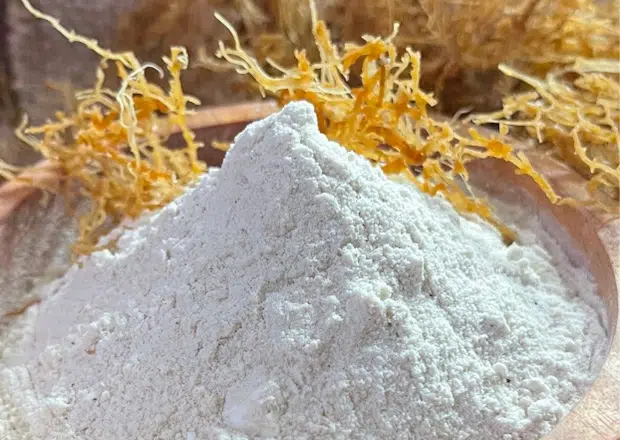 Karagenan: Rahasia Rumput Laut yang Bikin Susu Lebih Creamy dan Daging ...