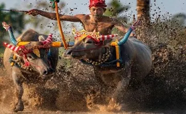 Balimau Menyambut Bulan Suci Ramadan di Masyarakat Minangkabau