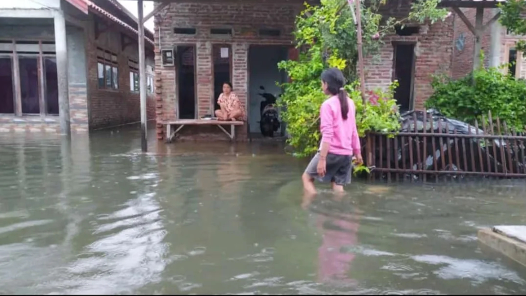 Banjir Rob di Desa Blendung Kecamatan Ulujami Kabupaten Pemalang